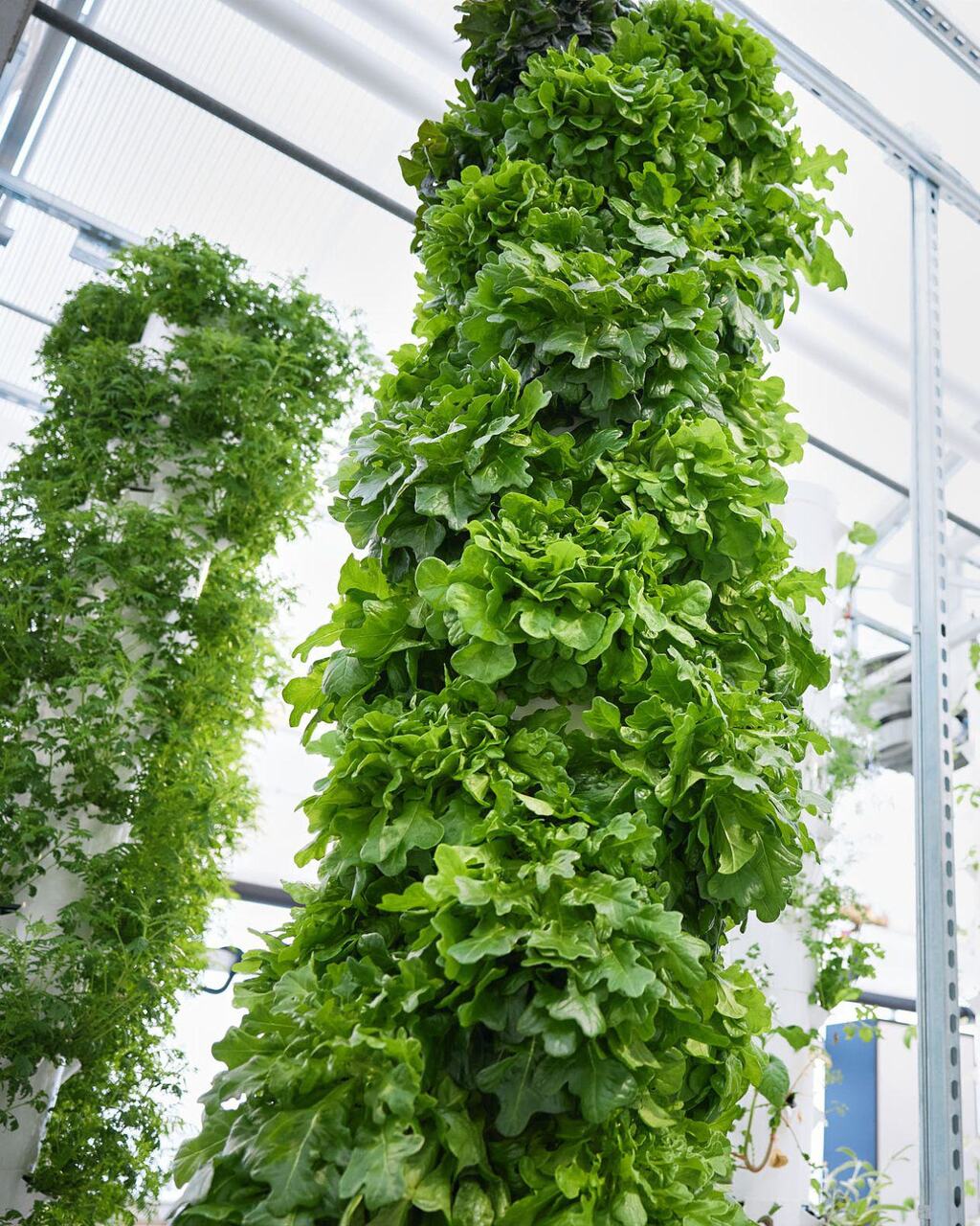 Grow Lab at Oglebay Park - Wheeling, WV - Sustainable Education & Attractions