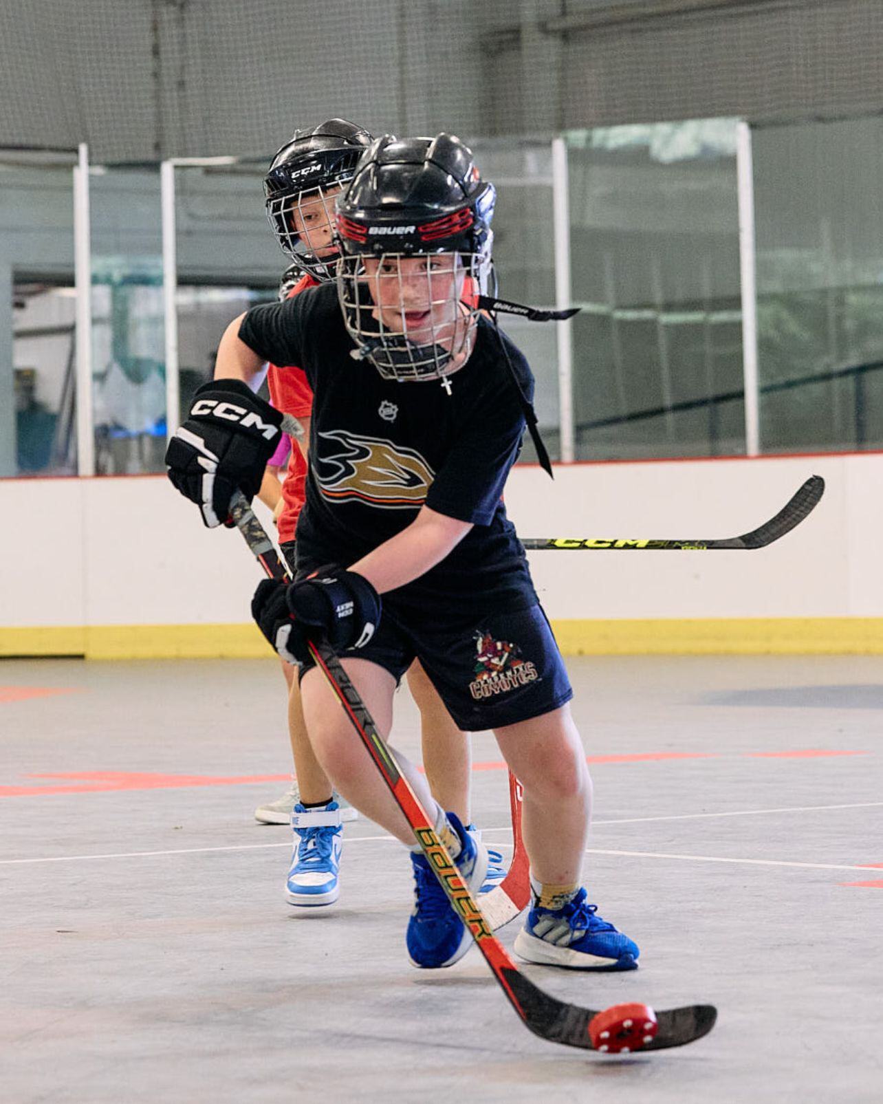 Wheeling Park - Fun, Family-Friendly Recreational Activities in West ...