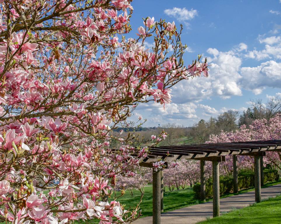 Spring in West Virginia - Getaways & Things to Do at Oglebay Park Resort