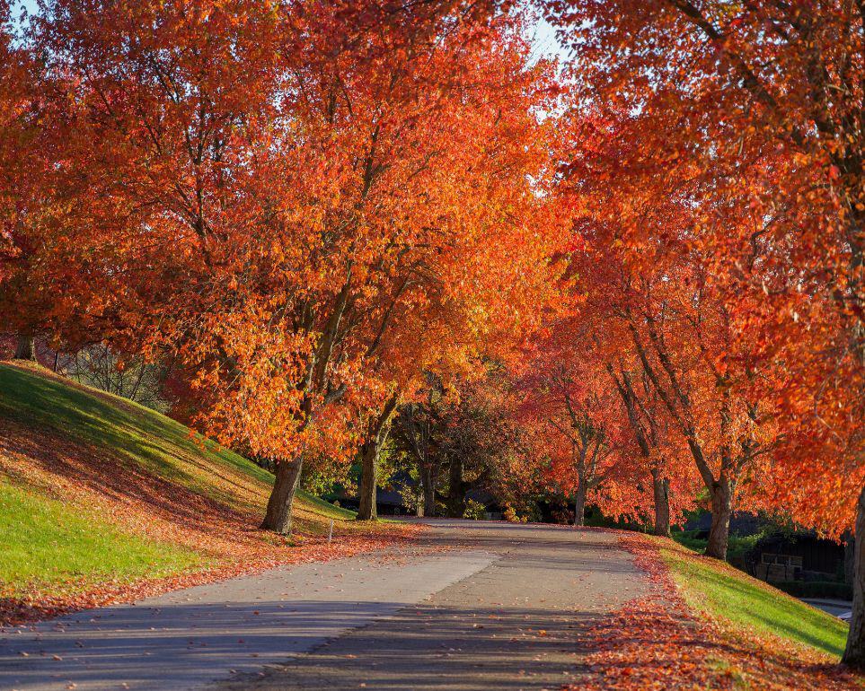 West Virginia Fall Colors, Getaways, & Things To Do: Autumn at Oglebay Park