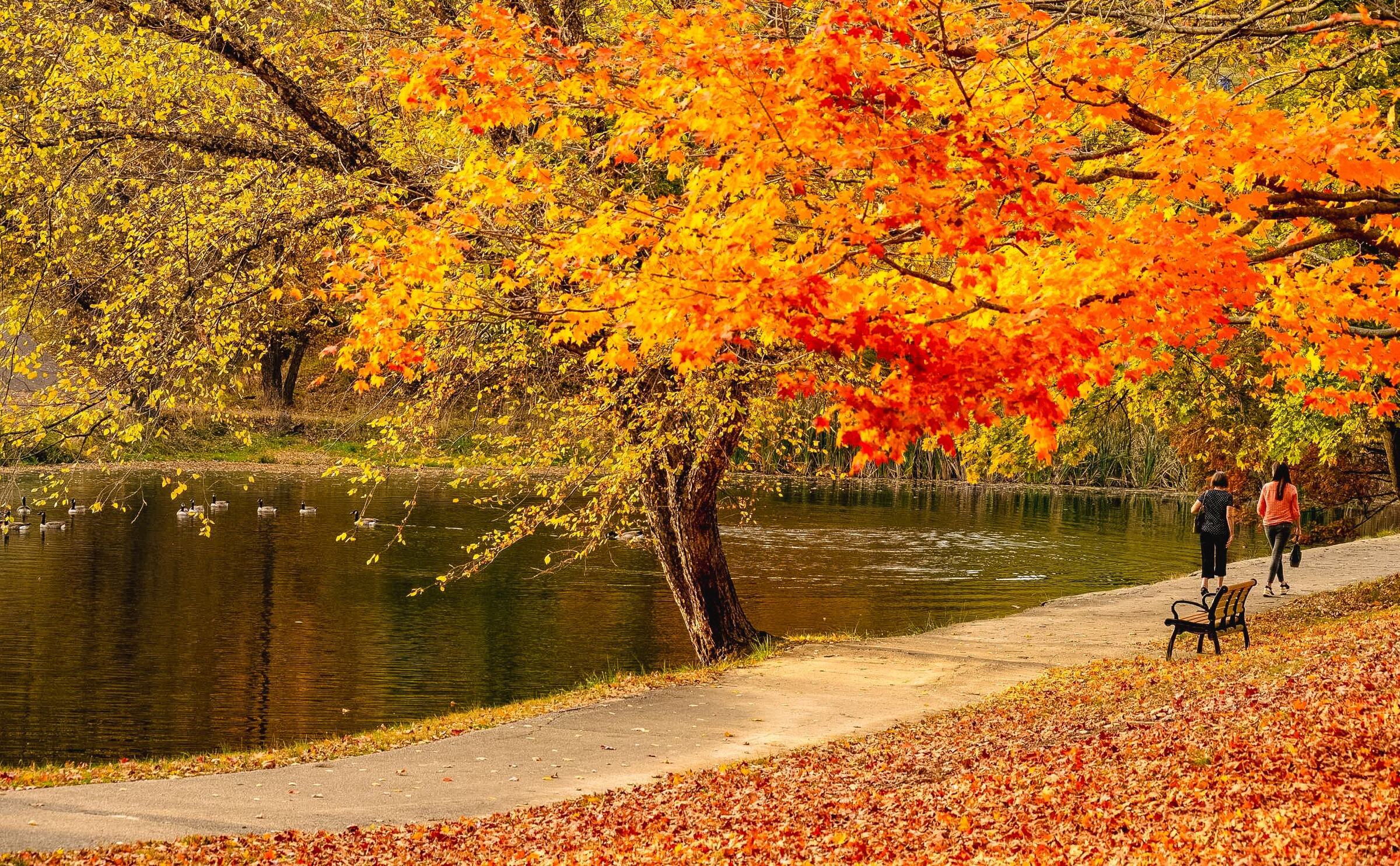 West Virginia Fall Colors, Getaways, & Things To Do: Autumn at Oglebay Park